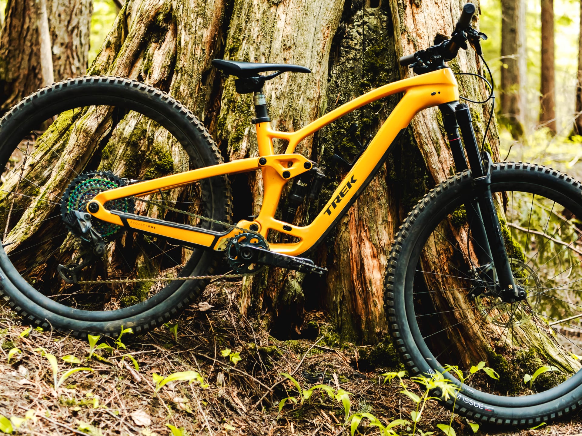 Fuel EX Gen 6 – Arctic Bike